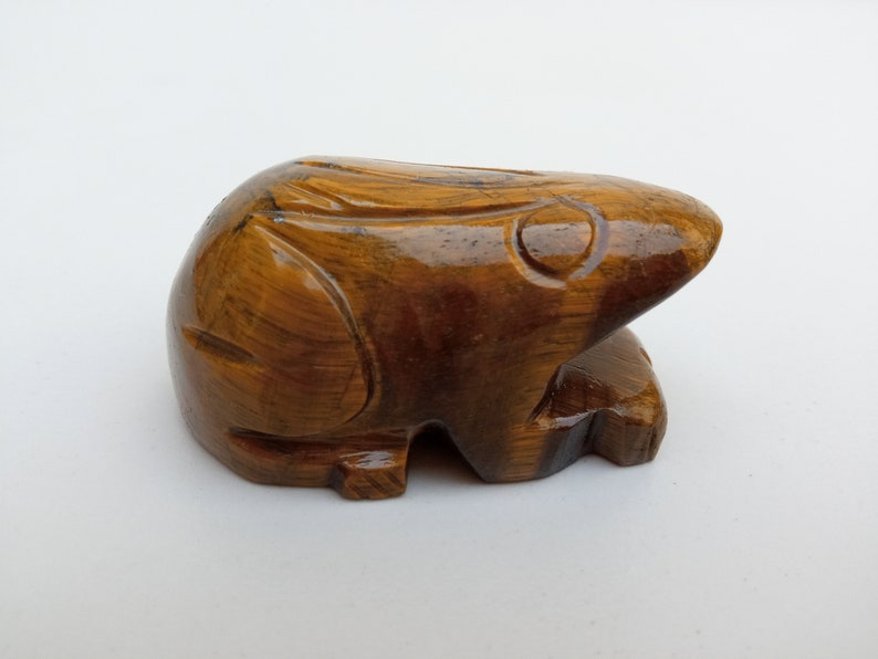 Tiger Eye Crystal Frog Carving Set, Natural Stone Healing - Etsy