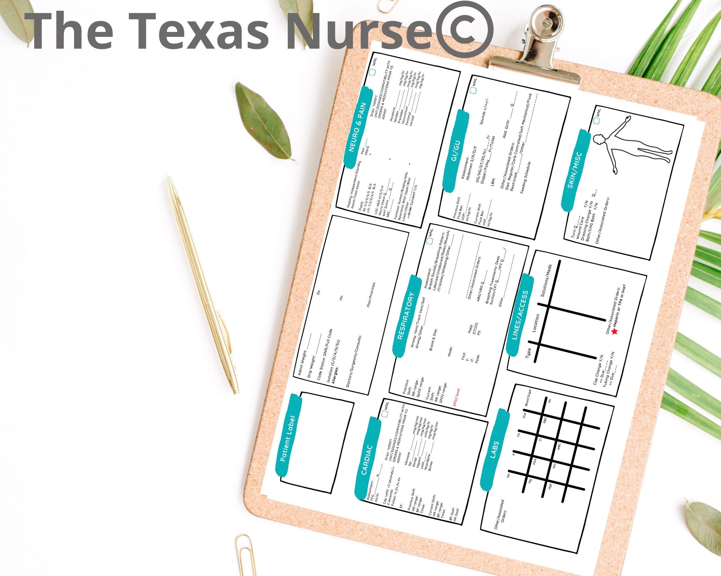 Printable- Instant Download-picu (pediatric Intensive Care Unit) Report ...