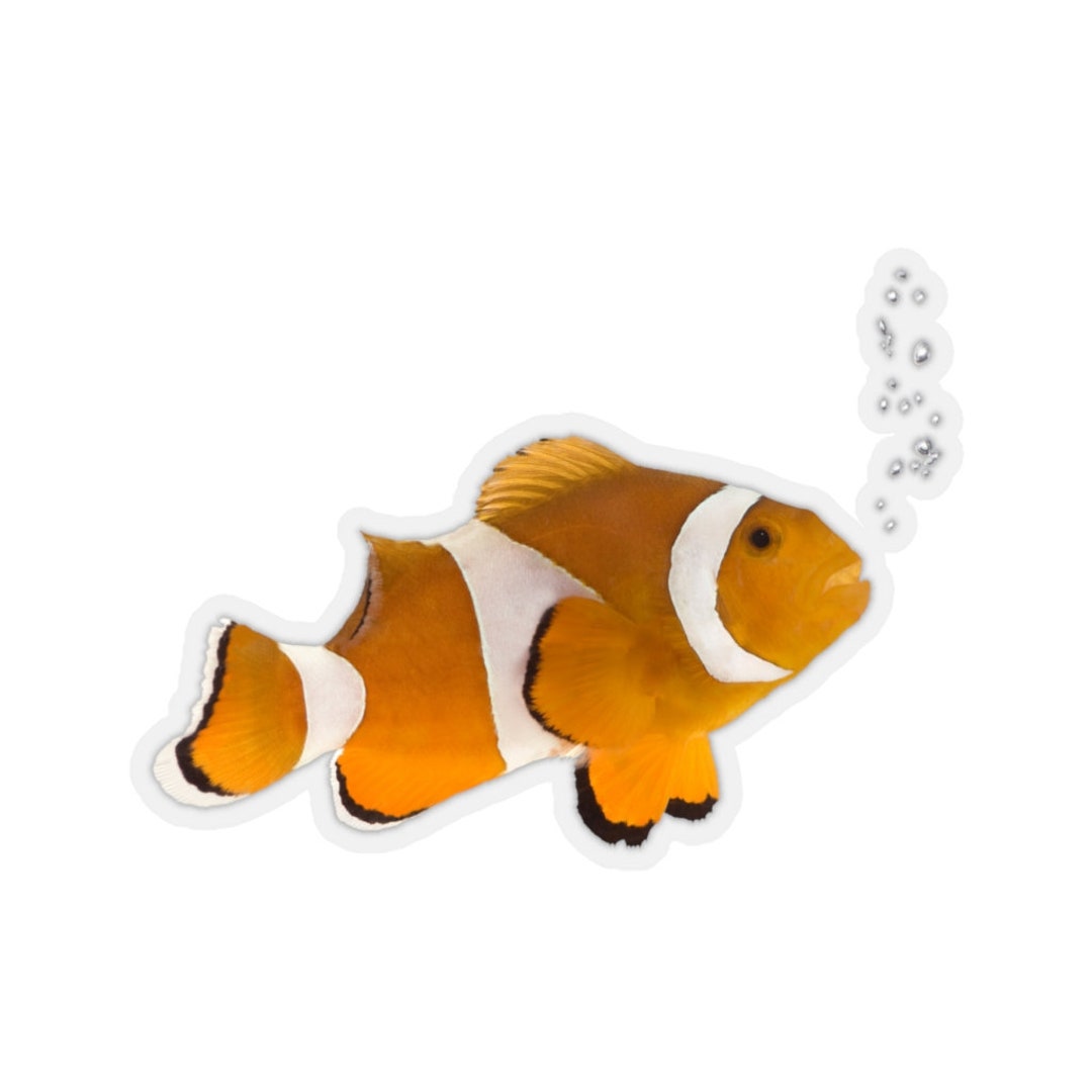 Clown Fish Sticker, Clown Fish Stickers, Reef Tank Stickers, Reeftank ...