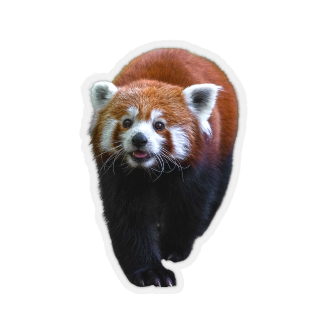 Red Panda Sticker, Animal Photograph Stickers, Wild Animals, Clear ...