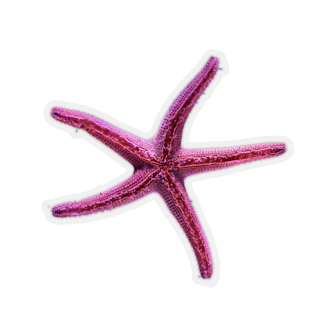 Starfish Sticker, Ocean Animals, Under the Sea Decor, Mermaid Party ...