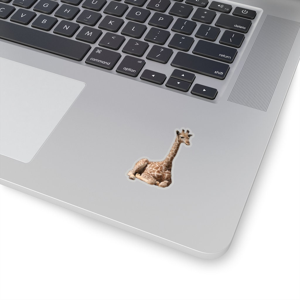 Giraffe Sticker, Baby Giraffe Gift, Giraffes, Baby Animal Stickers ...