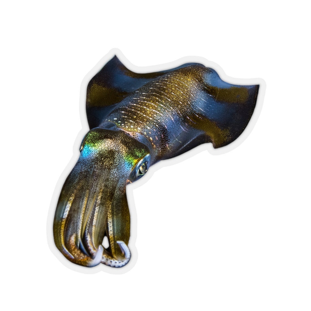 Squid Sticker, Squids Stickers, Ocean Stickers, Animal Stickers, Animal ...
