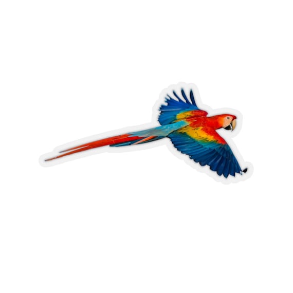 Parrot Sticker Macaw Bird Stickers Animals Photos Clear - Etsy
