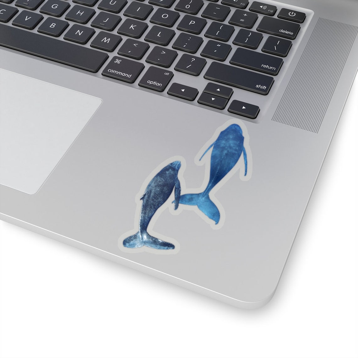 Whales Sticker, Whale Stickers, Sea Creatures, Blue Whales, Ocean ...