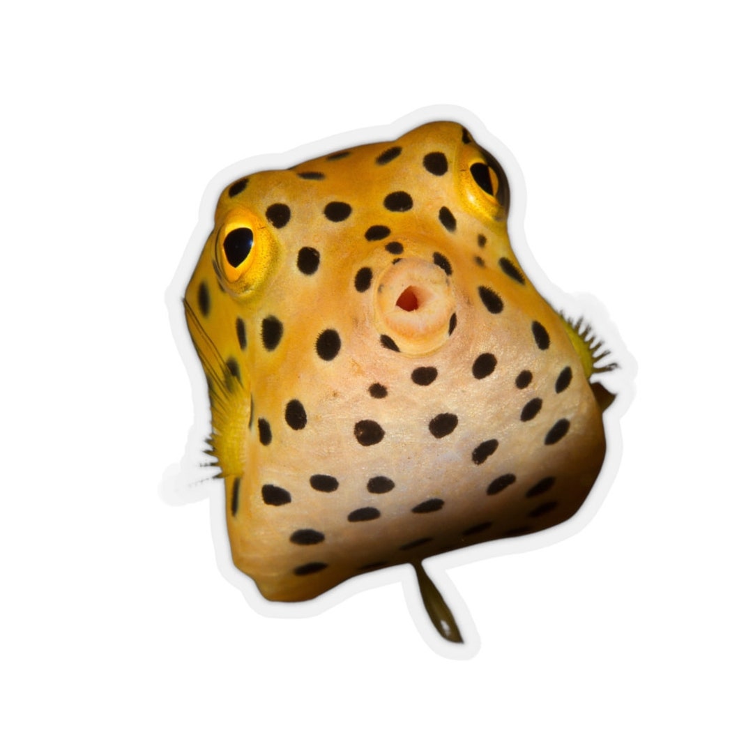 Puffer Fish Sticker, Reeftank, Reef Tank, Sea Life, Animal Stickers ...