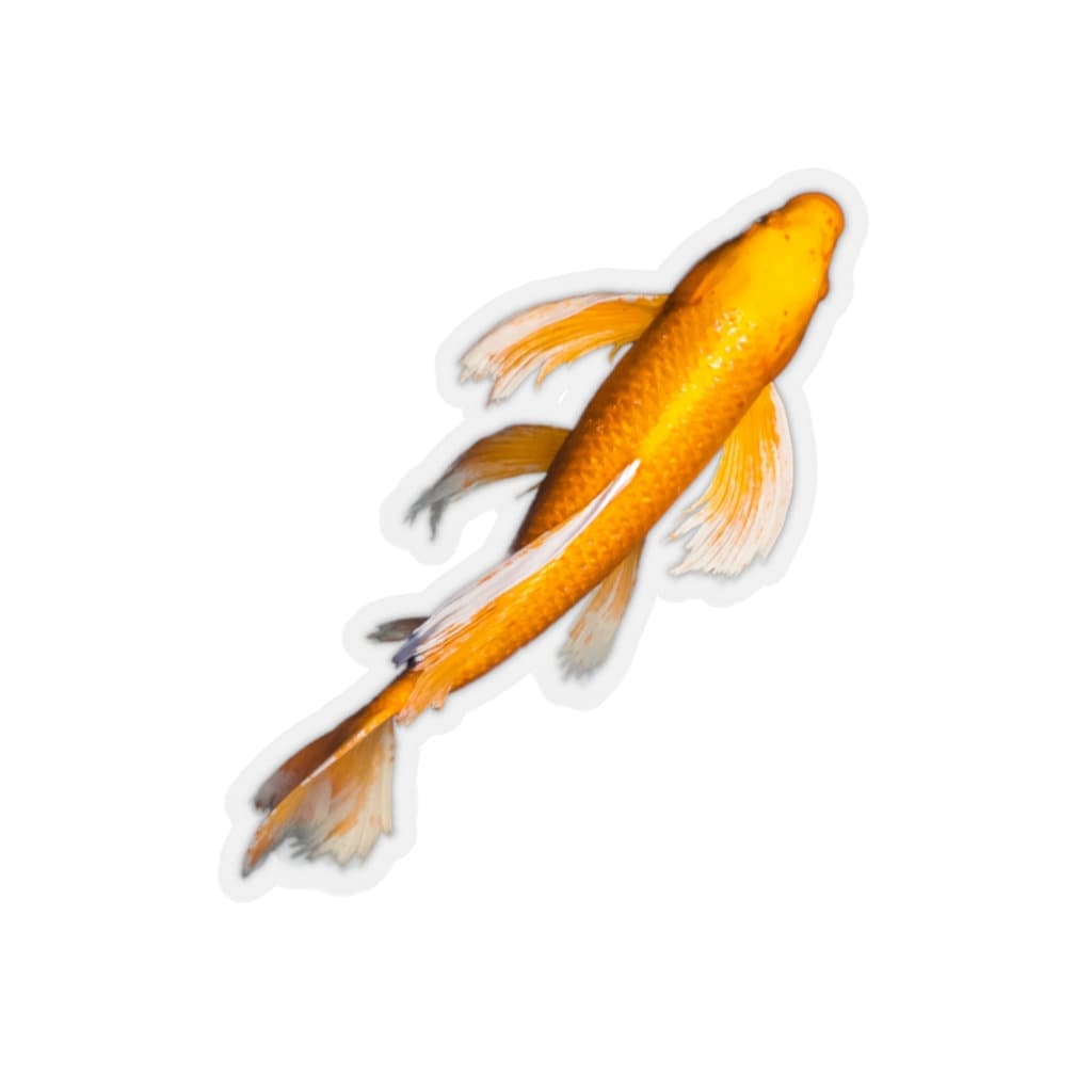 Koi Fish Sticker, Animal Photo Sticker, Transparent Vinyl - Etsy