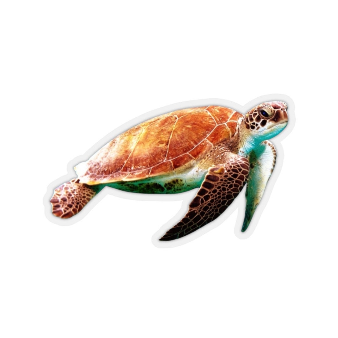 Sea Turtle Sticker, Ocean Animals Photos, Funny Stickers, Sea Creatures ...