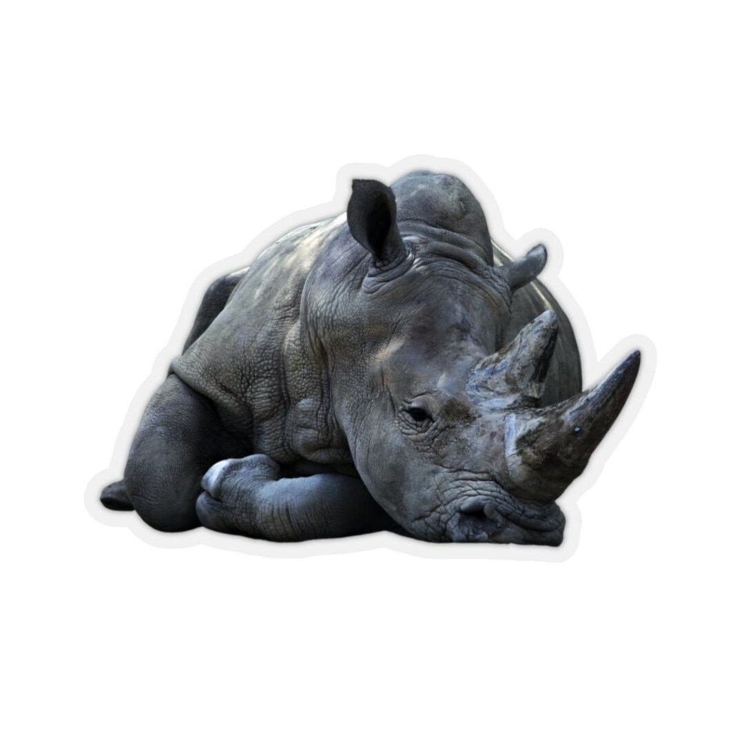 Rhino Sticker, Wild Animals of Africa, Zoo Animals, Photograph Stickers ...
