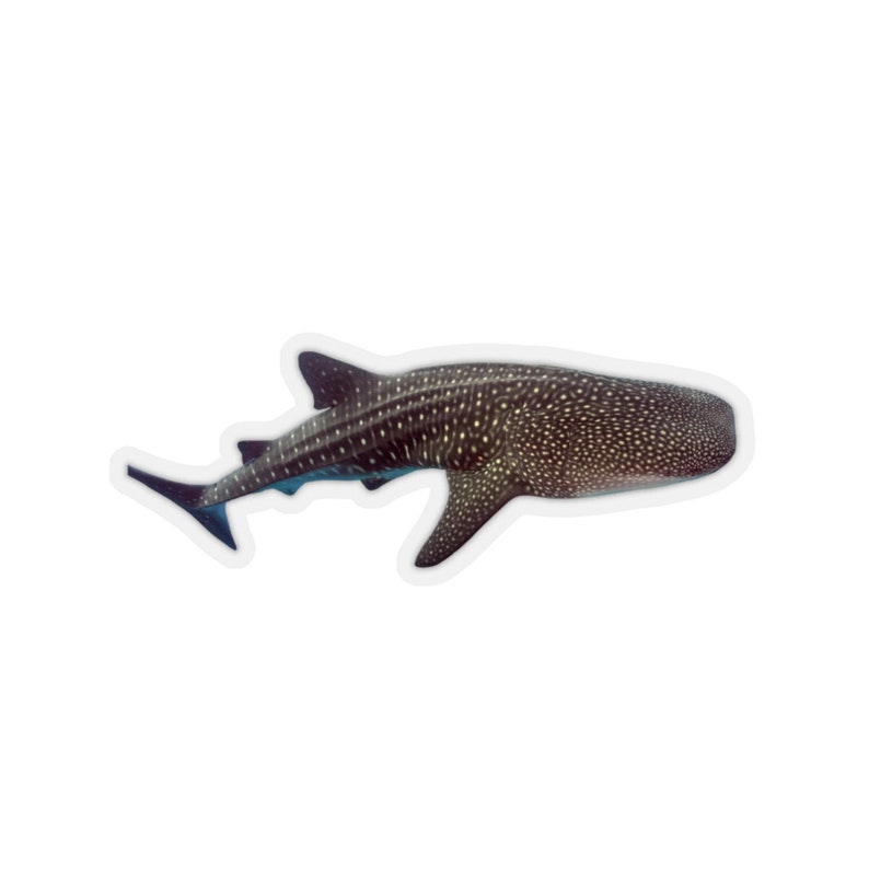 Whale Shark Sticker, Ocean Life Stickers, Sea Creatures, Sharks, Whales ...
