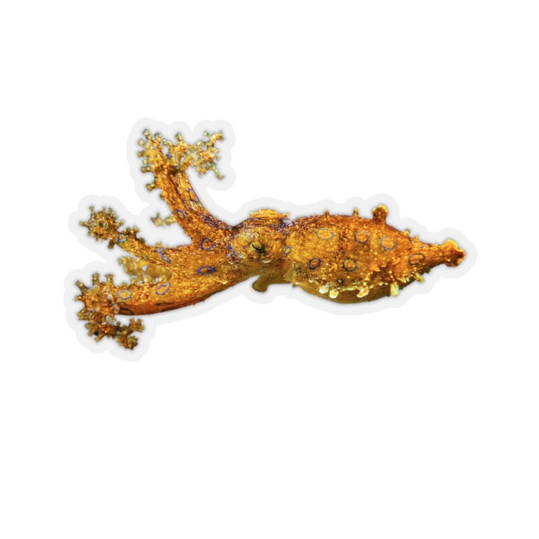 Octopus Sticker, Blue Ring Octopus, Octopus Stickers, Sea Creatures ...