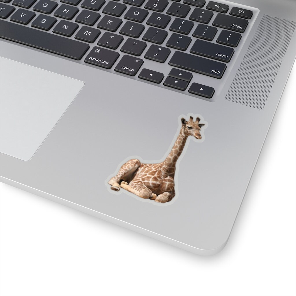 Giraffe Sticker, Baby Giraffe Gift, Giraffes, Baby Animal Stickers ...