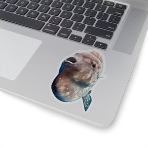 Sun Fish Sticker, Sunfish, Funny Animal Stickers, Hilarious Stickers ...