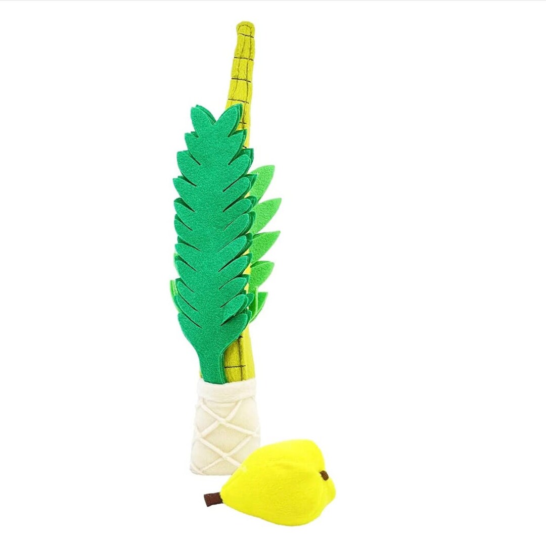 Plush Lulav and Etrog Children's Toy Set for Sukkot - Etsy