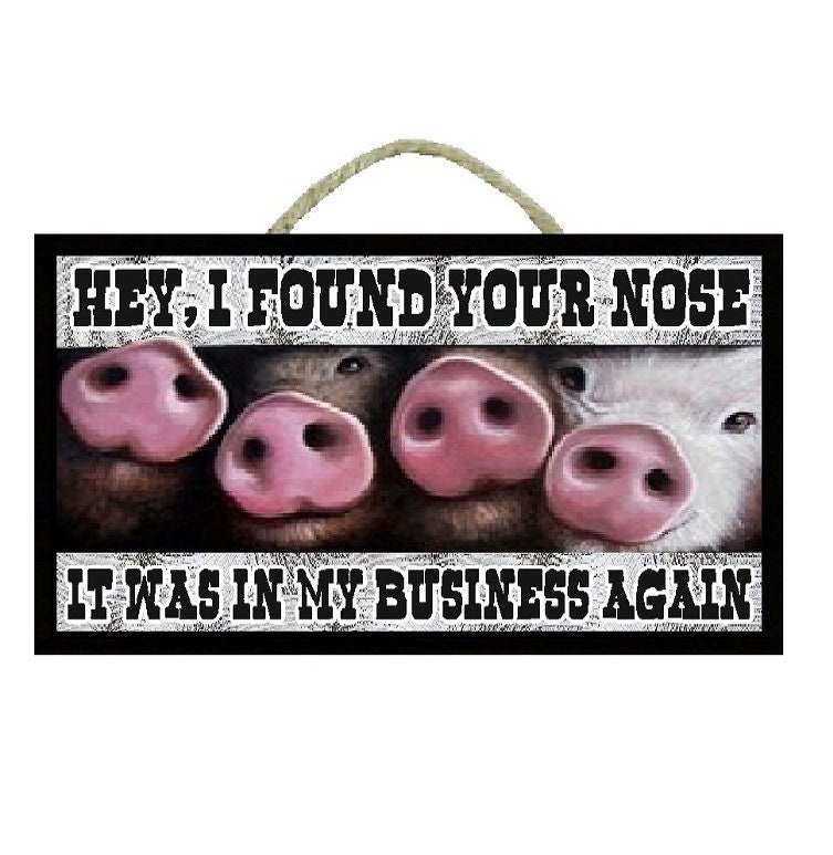 Funny Pig Gifts Cute Country Wood Sign Found Your Nose in My - Etsy