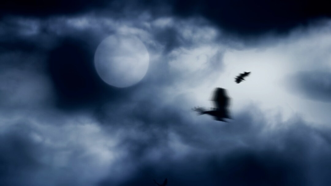 Halloween Video Clip, Full HD 1920x1080p, Video Animation for Video ...