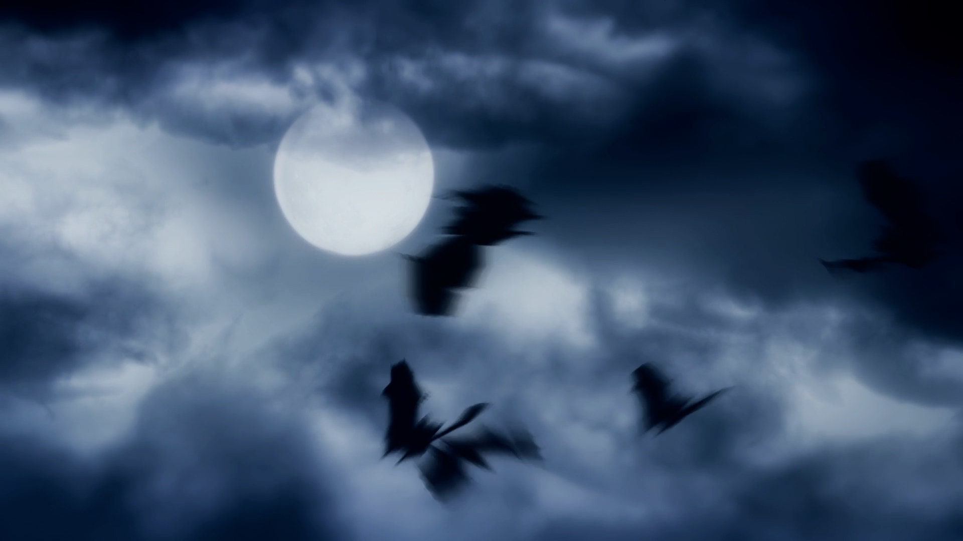 Halloween Video Clip, Full HD 1920x1080p, Video Animation for Video ...