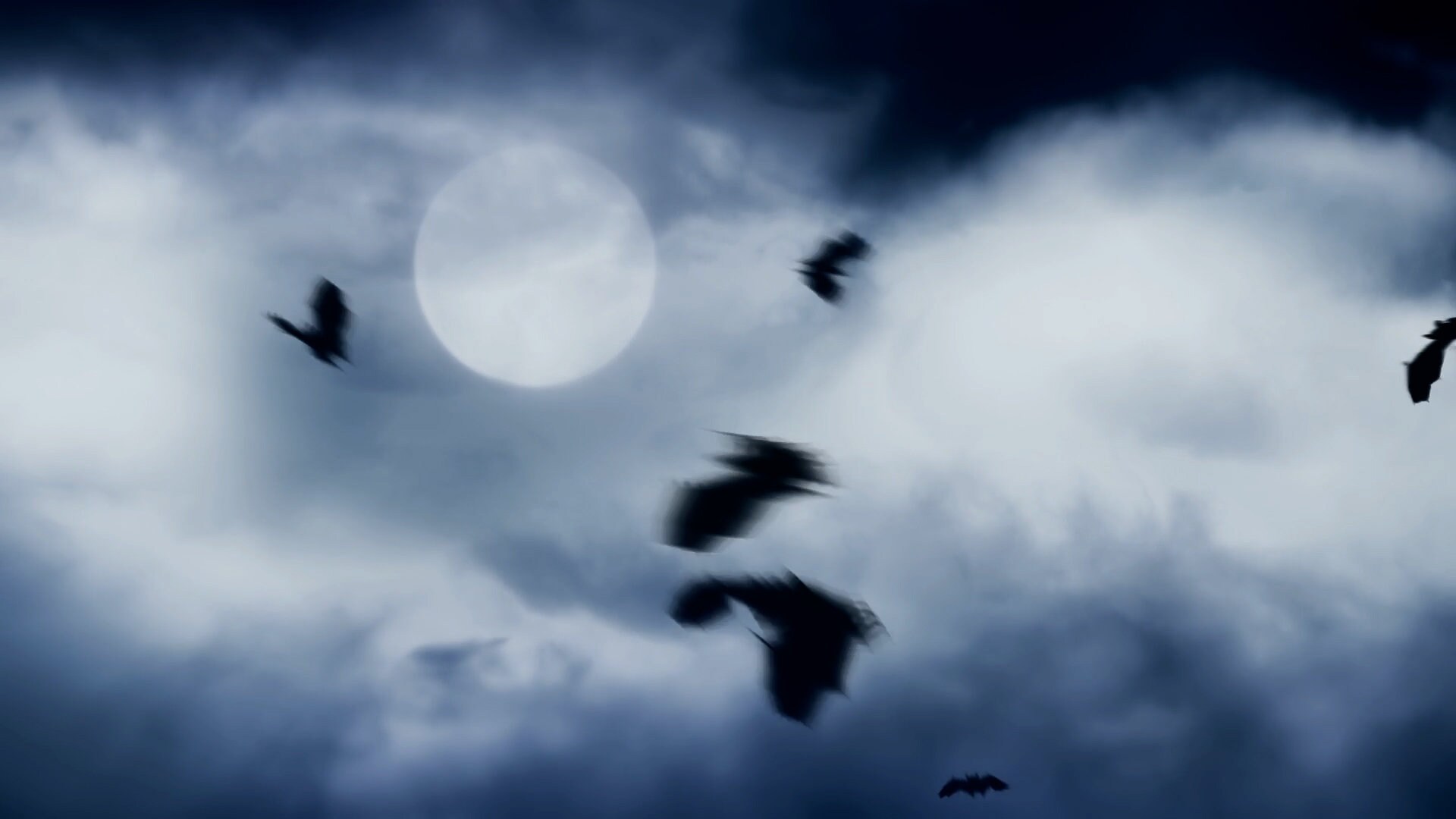 Halloween Video Clip, Full HD 1920x1080p, Video Animation for Video ...