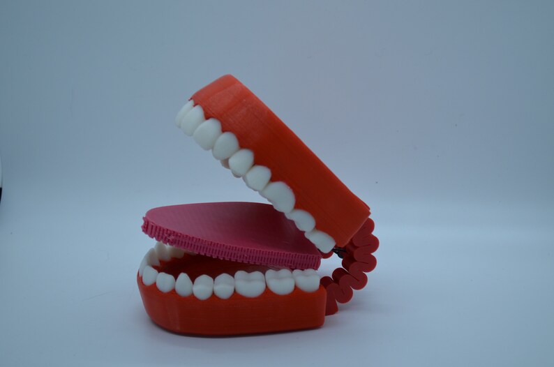 Speech Language Pathology Mouth Model - Etsy