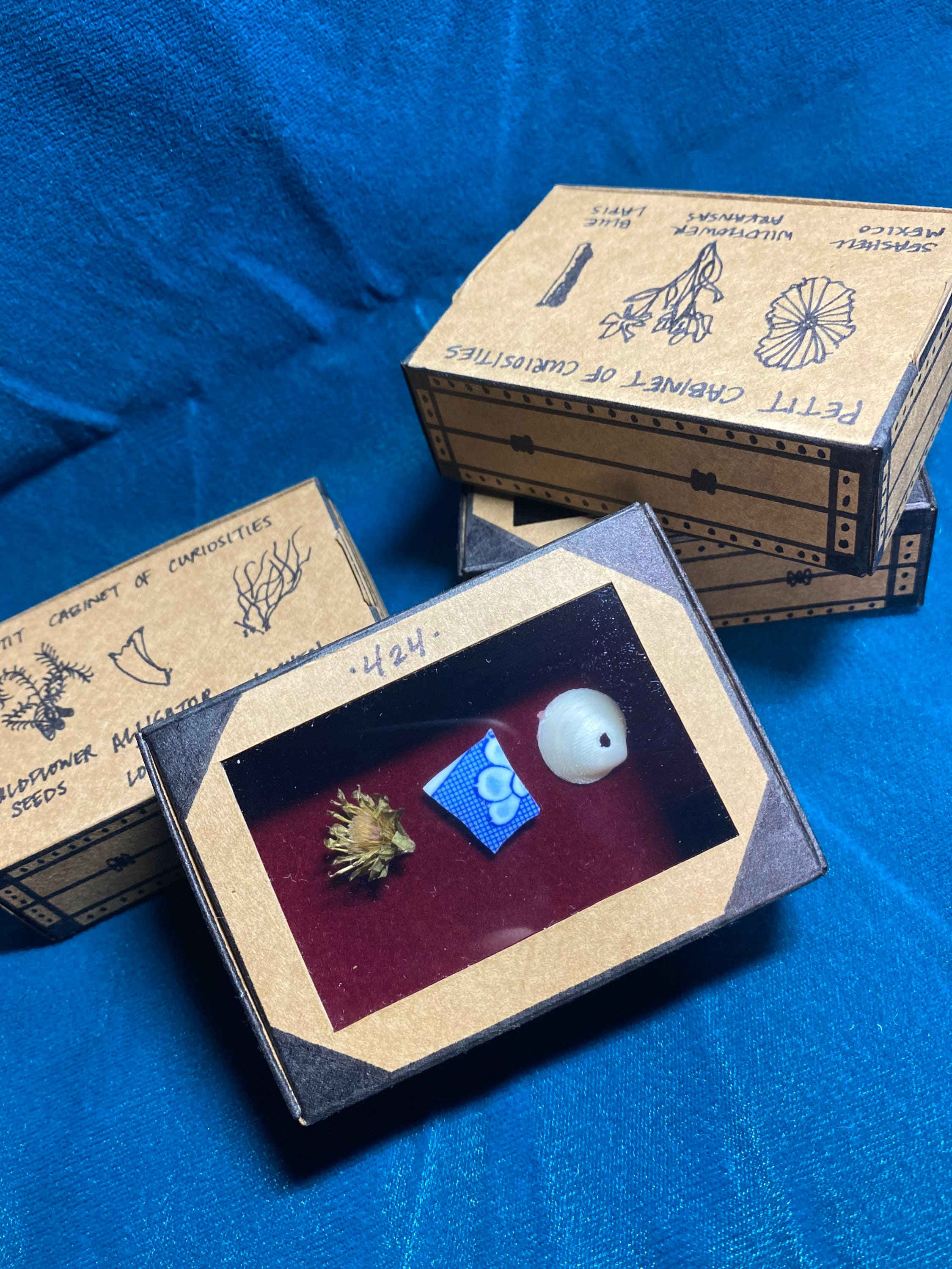 Petit Cabinet of Curiosities Mystery Box | Oddities | Real Bone ...