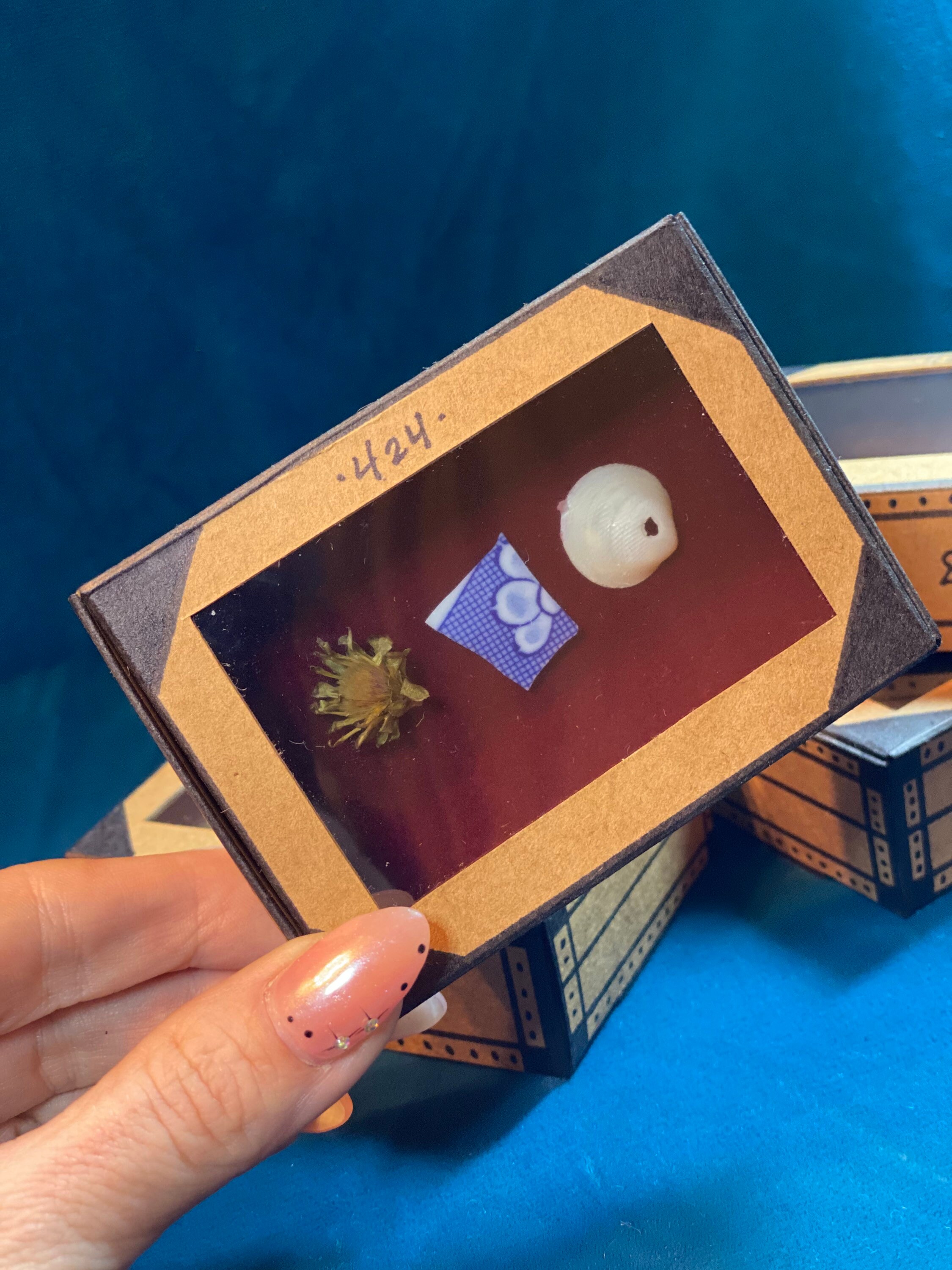 Petit Cabinet of Curiosities Mystery Box | Oddities | Real Bone ...