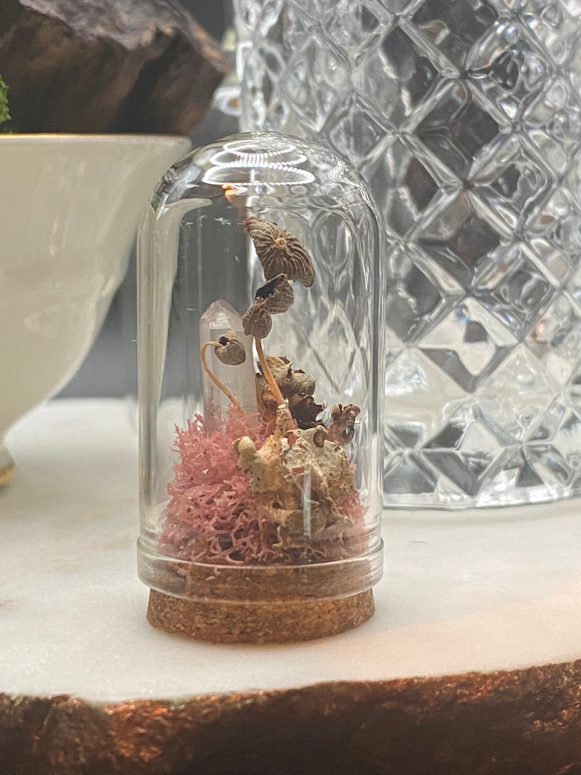 Miniature Glass Dome Cloche Wild Mushrooms Crystal Moss Naturalist Gift ...