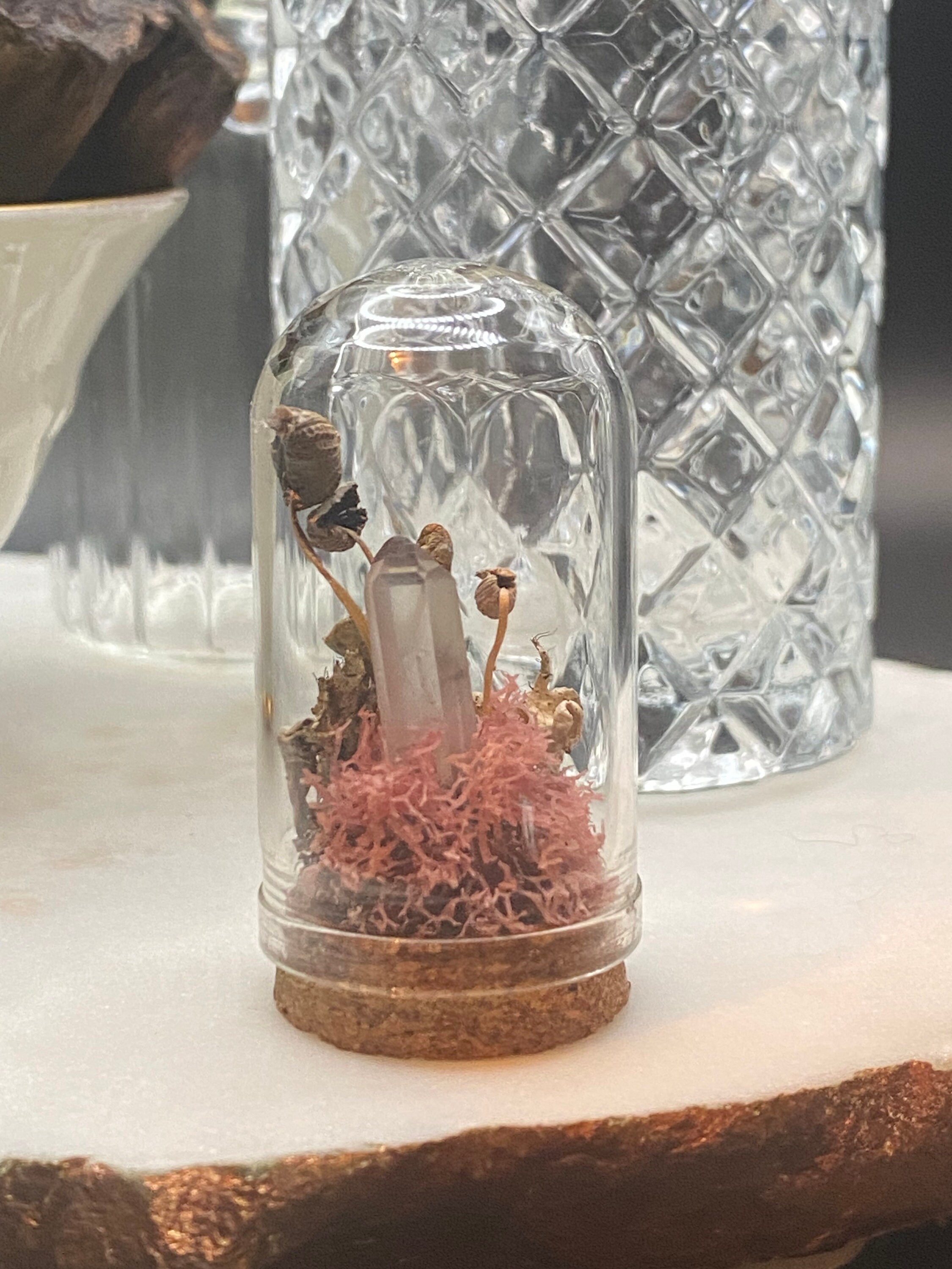 Miniature Glass Dome Cloche | Wild Mushrooms | Crystal | Moss ...