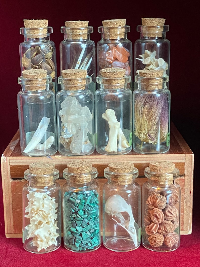 Natural History Mini Glass Specimen Bottles | Mystery Blind Box Nature ...