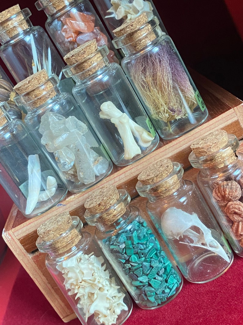Natural History Mini Glass Specimen Bottles | Mystery Blind Box Nature ...