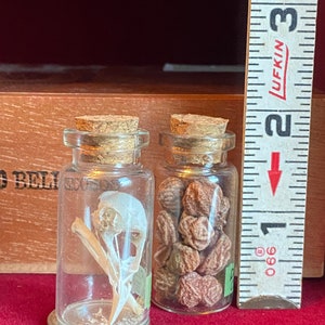 Natural History Mini Glass Specimen Bottles | Mystery Blind Box Nature ...