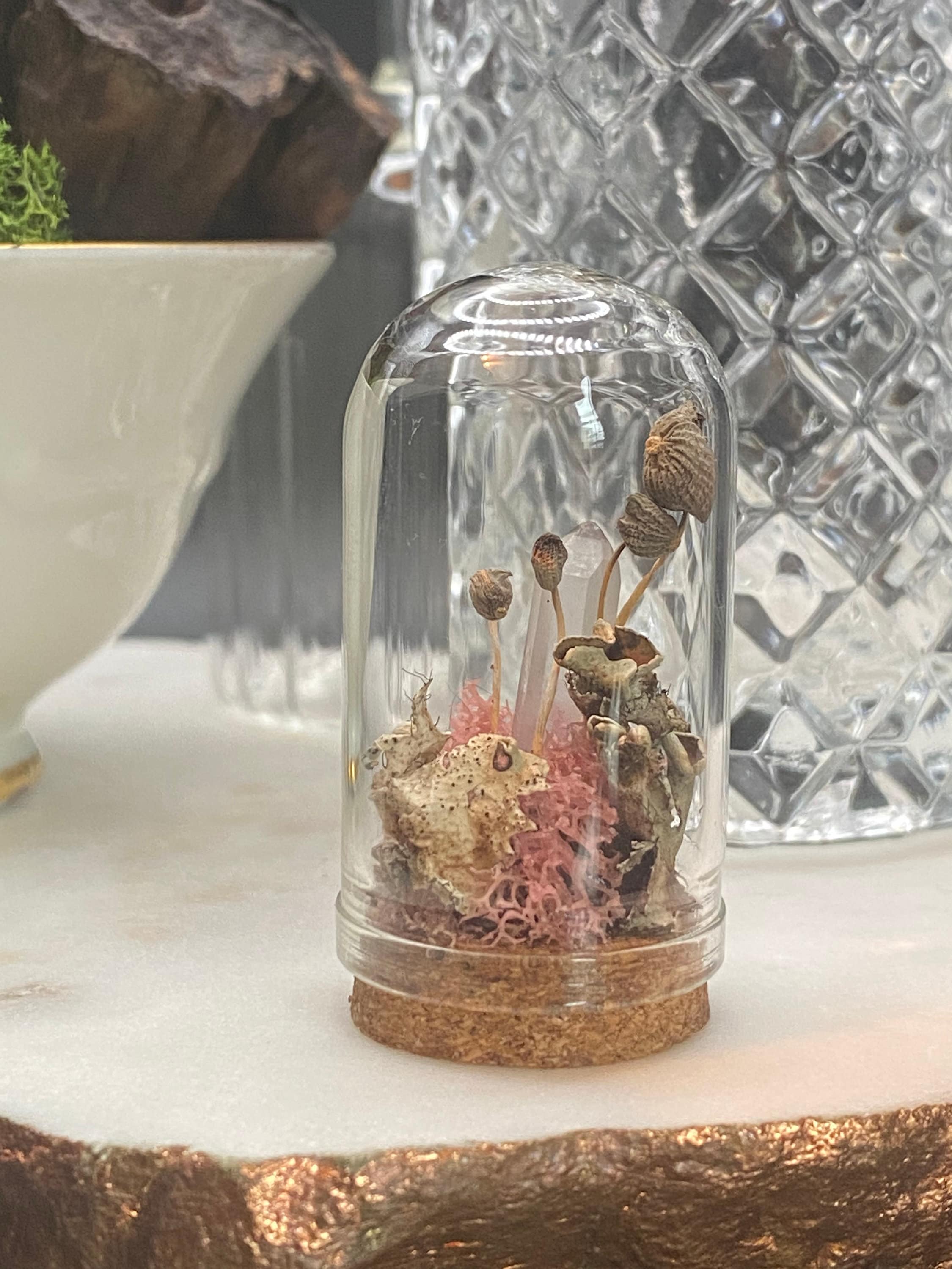 Miniature Glass Dome Cloche | Wild Mushrooms | Crystal | Moss ...
