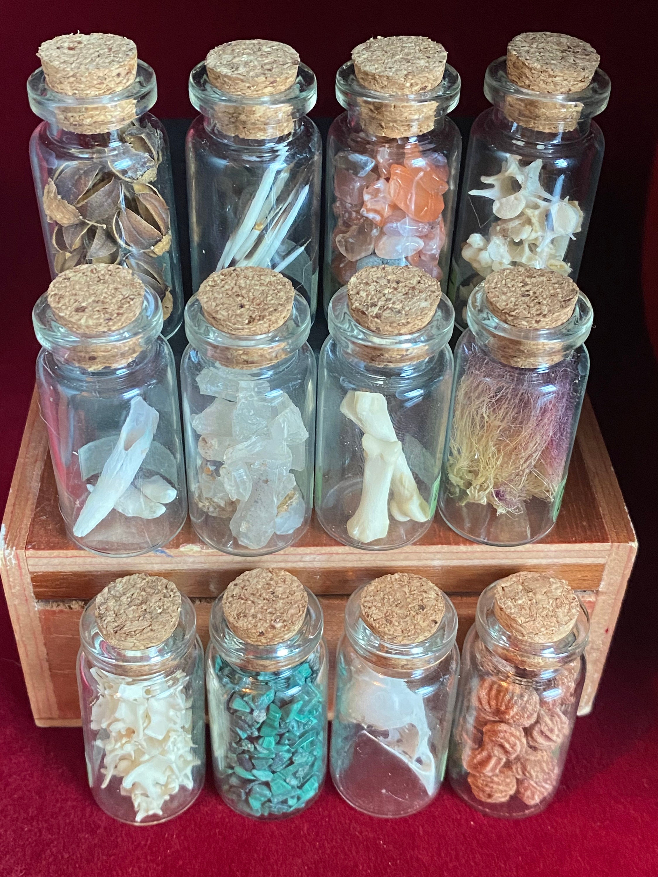 Natural History Mini Glass Specimen Bottles | Mystery Blind Box Nature ...