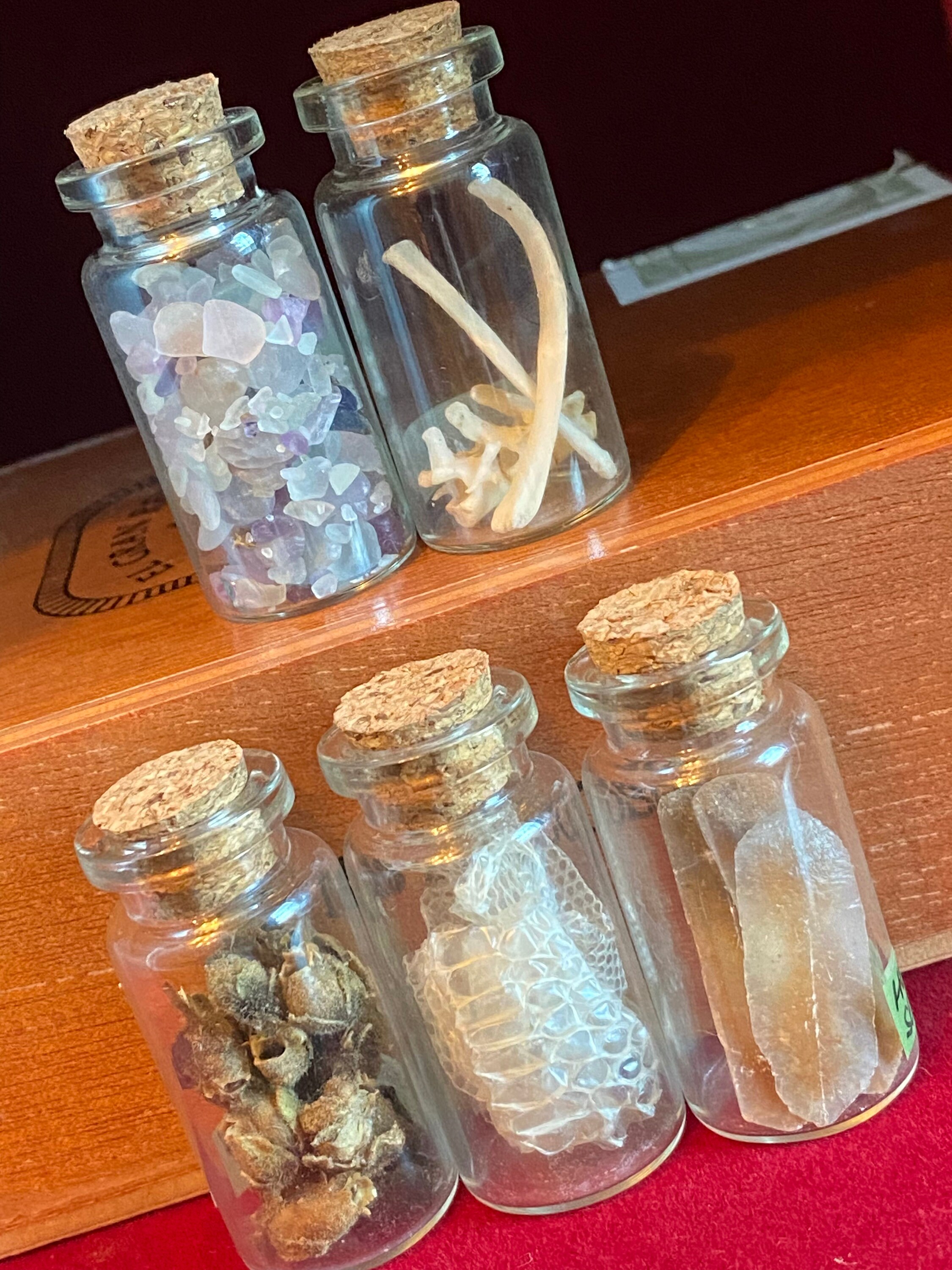 Natural History Mini Glass Specimen Bottles | Mystery Blind Box Nature ...