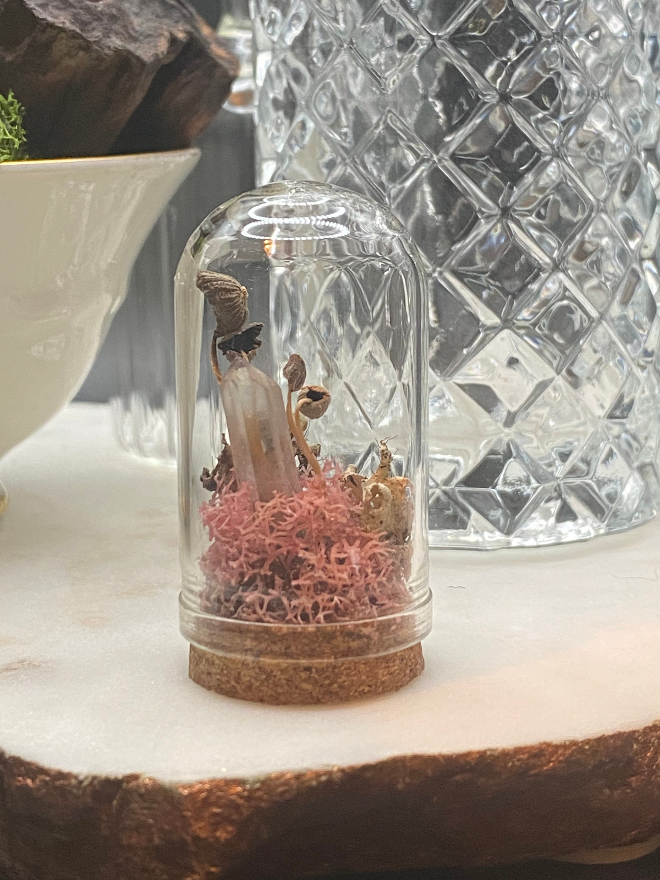 Miniature Glass Dome Cloche | Wild Mushrooms | Crystal | Moss ...