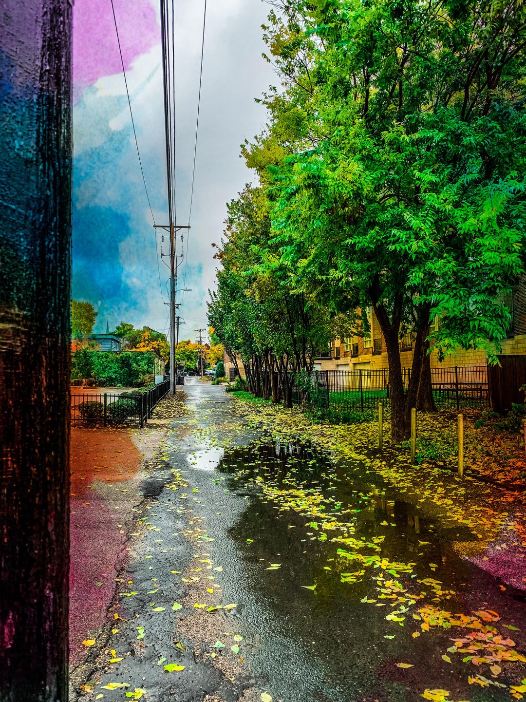 Rainbow Alley Digital Download - Etsy