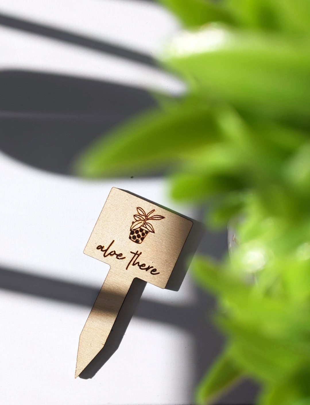 Aloe There Wood Plant Marker by Ariell Forrest - Etsy