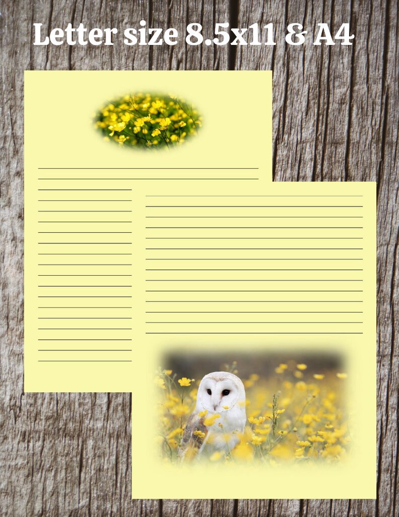 Printable Owl Stationery Sizes 8.5x11 and A4/digital - Etsy