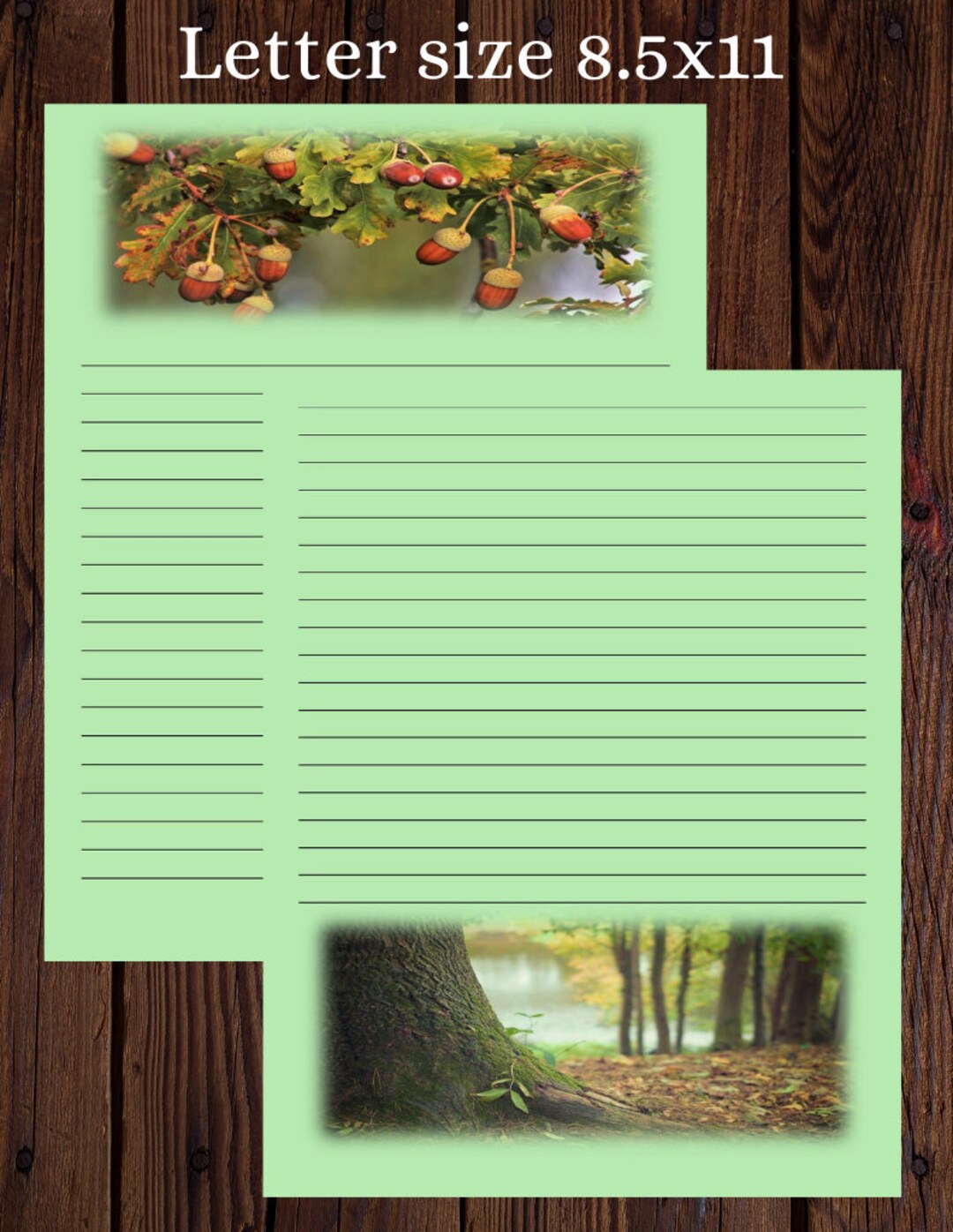 Printable Oak Tree Lined Stationery, Size 8.5x11/digital Paper/instant ...