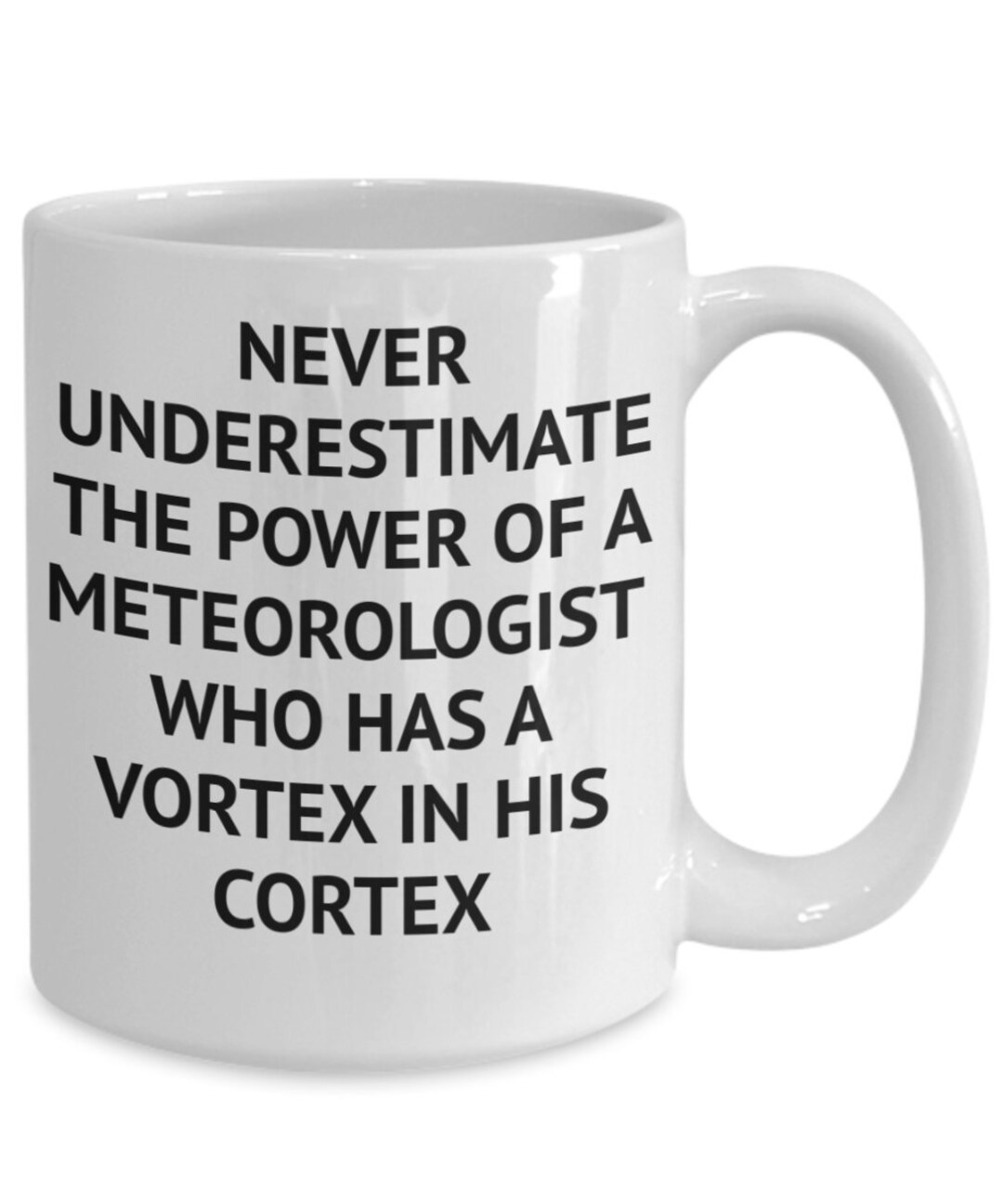 Meteorologist Gifts, Gift for Meteorologist , Funny Coffee Mug, Gift ...