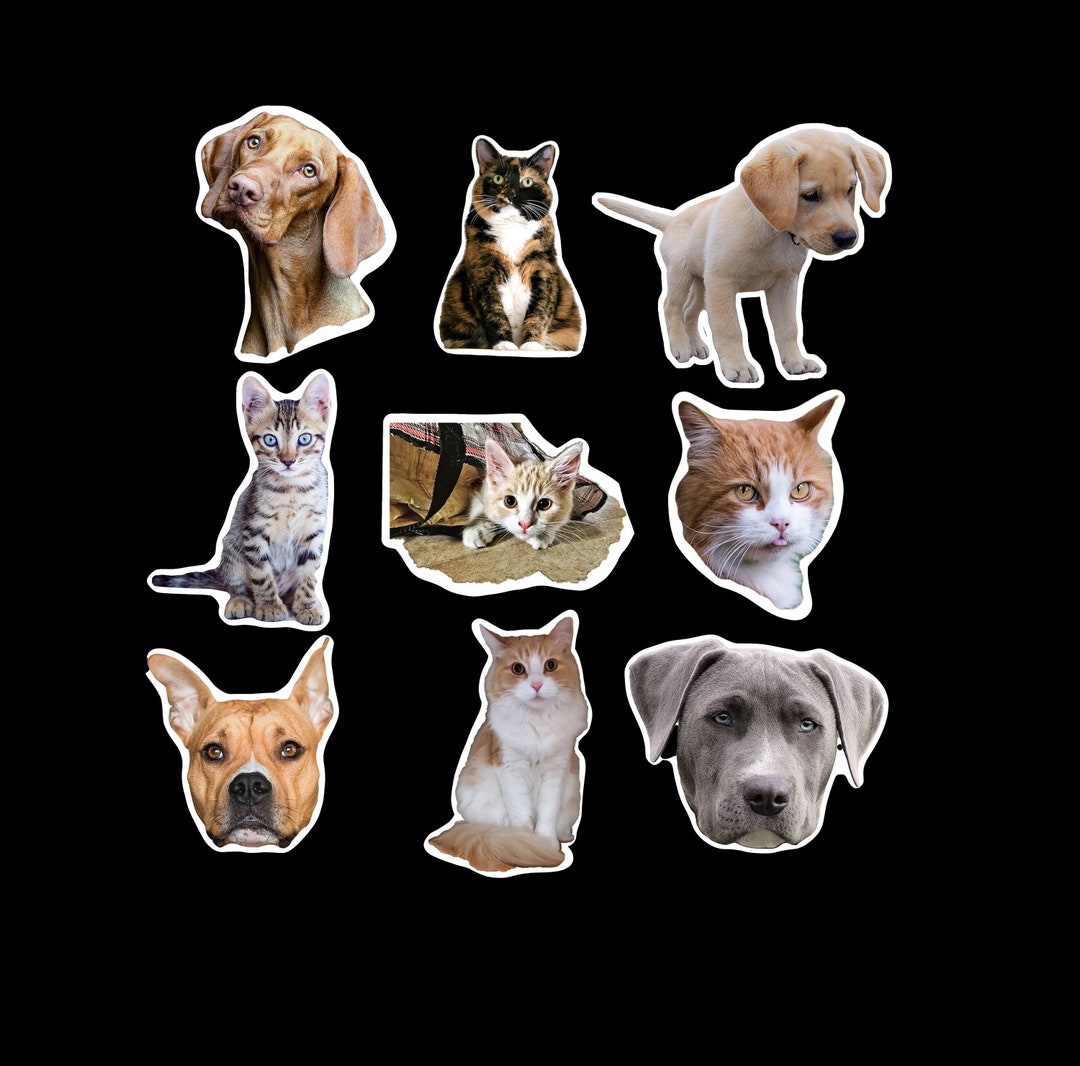 Custom Pet Stickers. Cats, Dogs, or Any Other Animals. on Vinyl ...