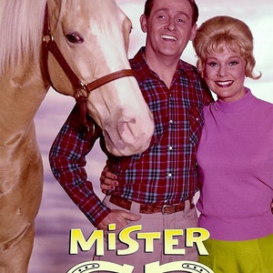 Retro TV Sitcoms From the 1960s, Images on Refrigerator Magnets ...