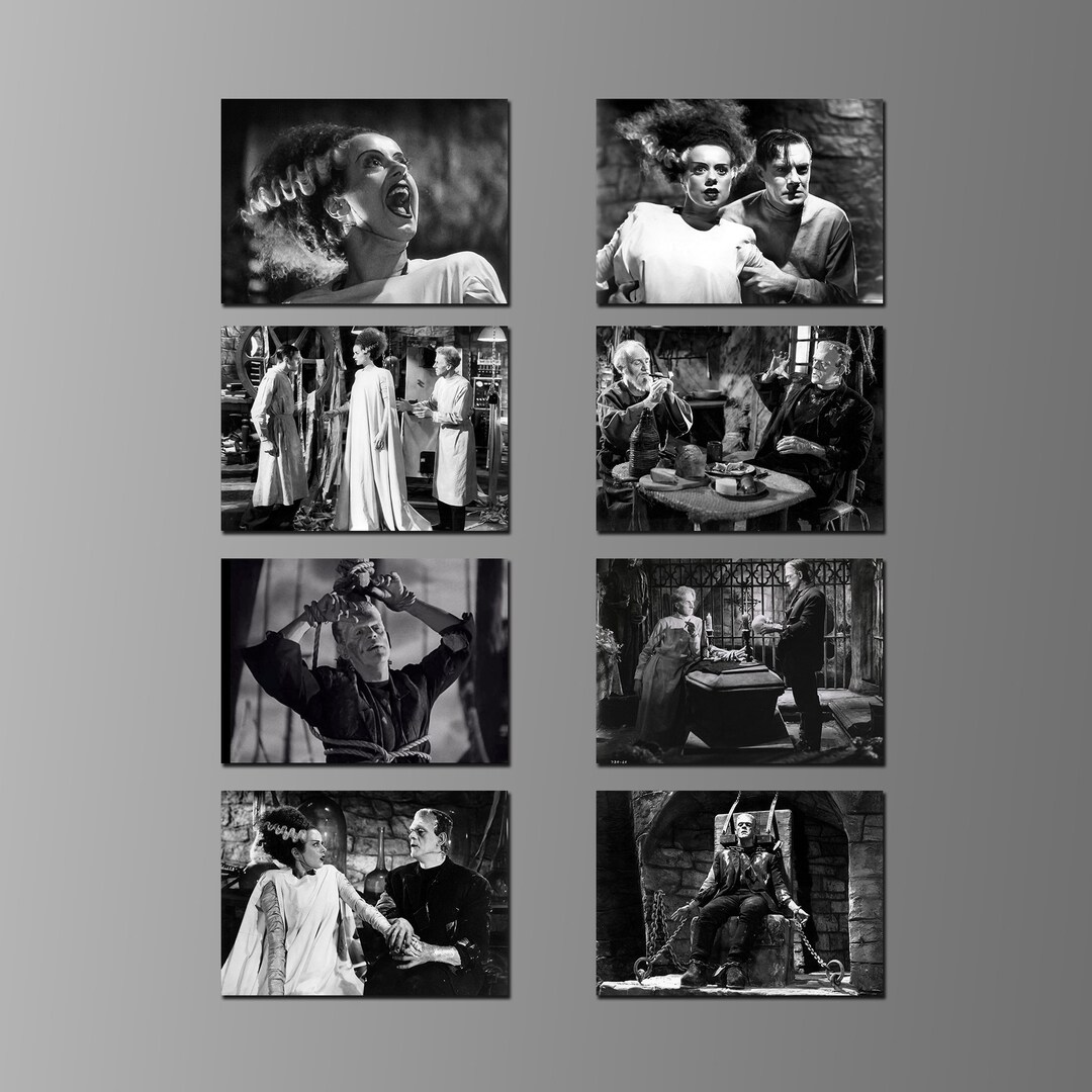 Bride of Frankenstein Movie Scenes. Magnets. Universal Monsters, Boris ...