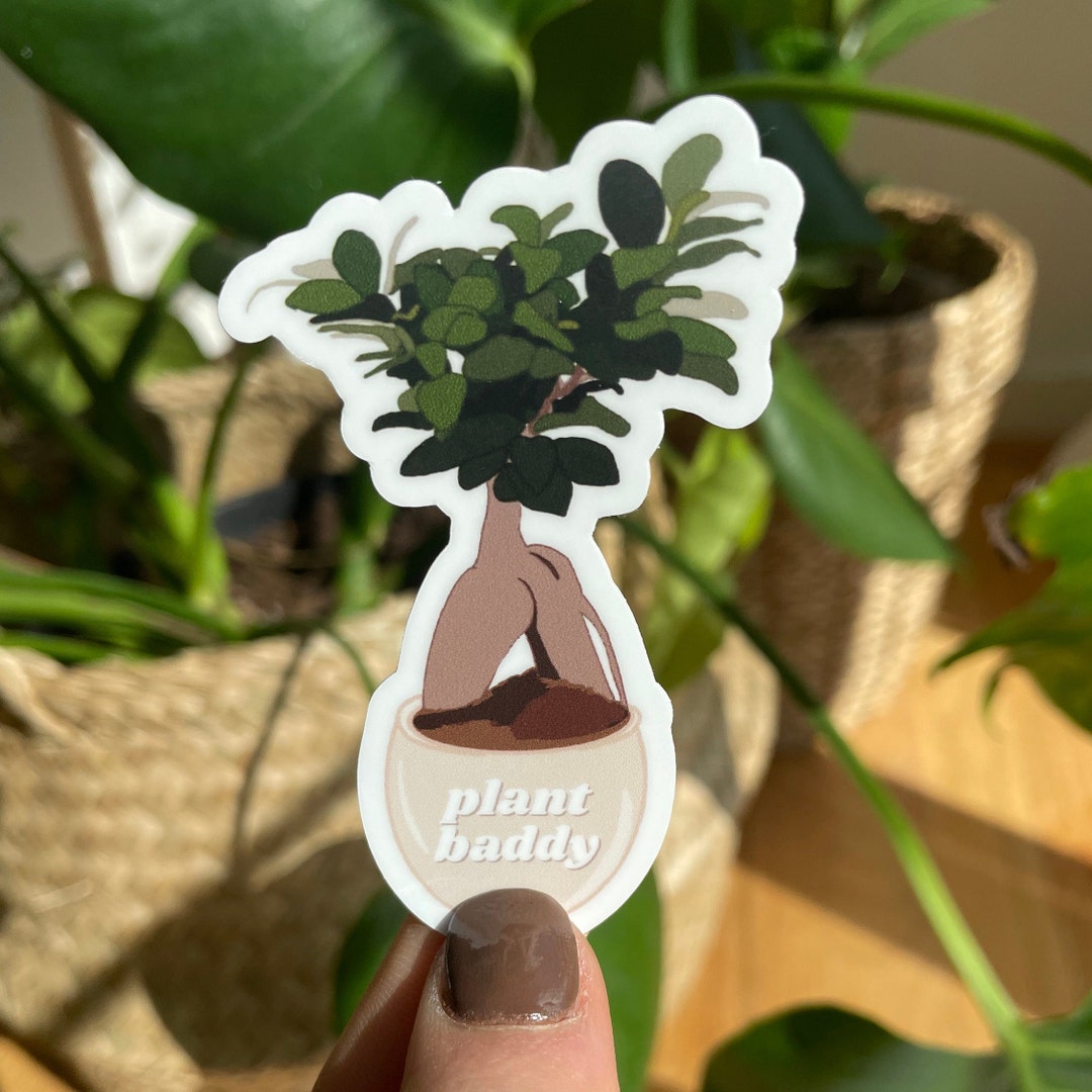 Plant "baddy" Sticker, Plant Mom Sticker, Vinyl Die Cut Sticker, House ...
