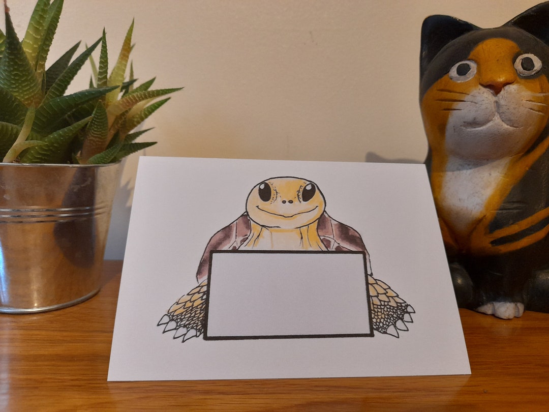 Tortoise With a Sign custom Message Greetings Card - Etsy