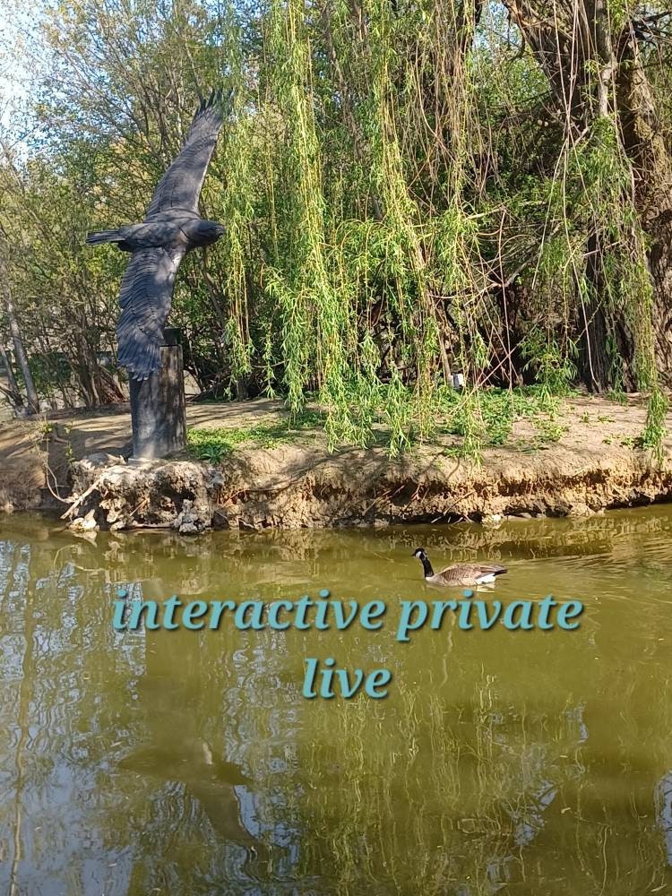 Interactive private live 45-60Mins