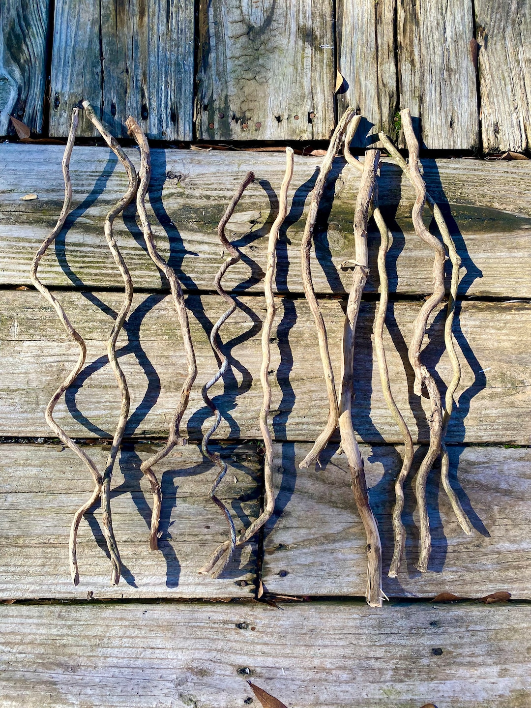 Bundle of 10 Twisted, Curved Sticks, Vines, Limbs - Etsy