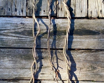 Bundle of 10 Twisted Curved Sticks Vines Limbs - Etsy