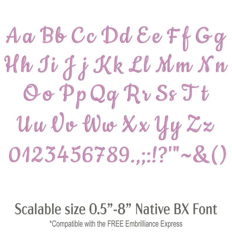 Cookie Modern Script Cursive Native BX Scalable Embroidery Font, Satin ...