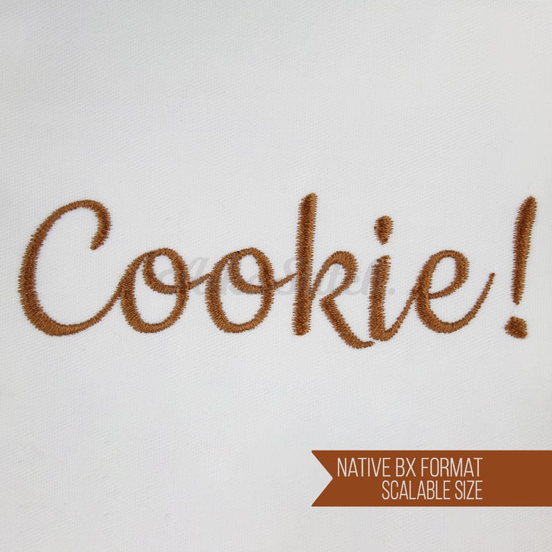Cookie Modern Script Cursive Native BX Scalable Embroidery Font, Satin ...