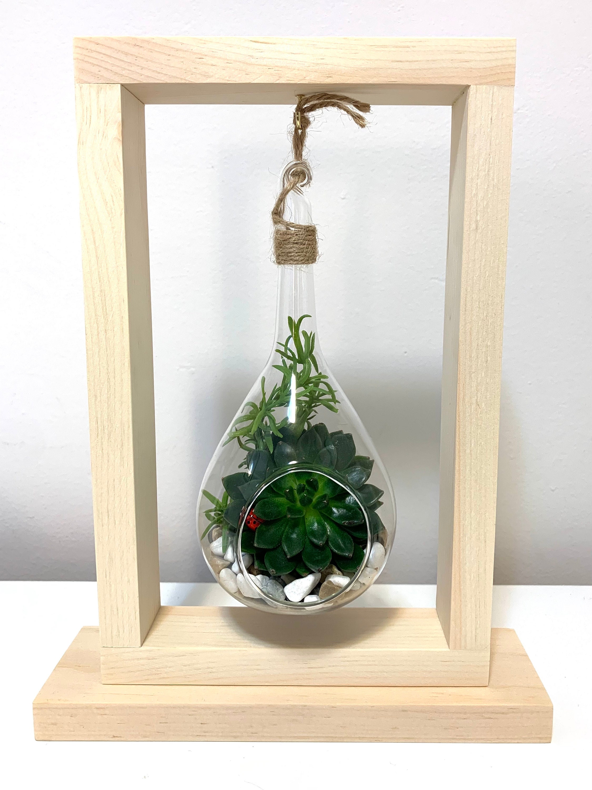 Hanging Glass Planter Terrarium Stand | Air Plant Hanging Planter Stand ...